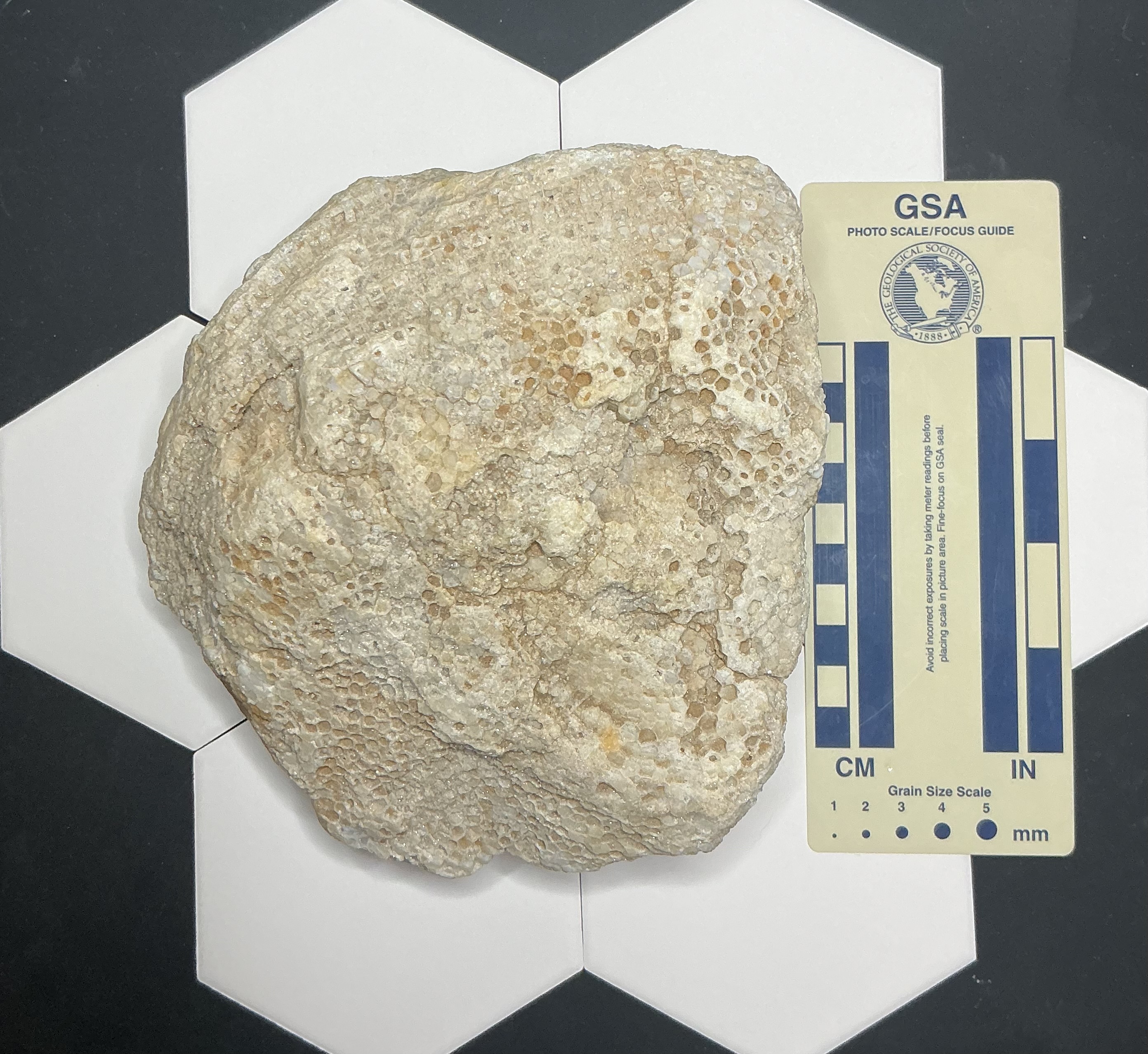 The Ocean Evolution Institute – The past is the key to the future